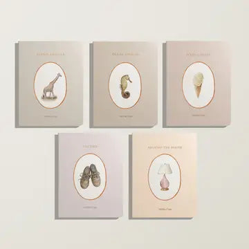 Book Set of 5 - Our Little Library VOL. 2 – Lou Lou & Company